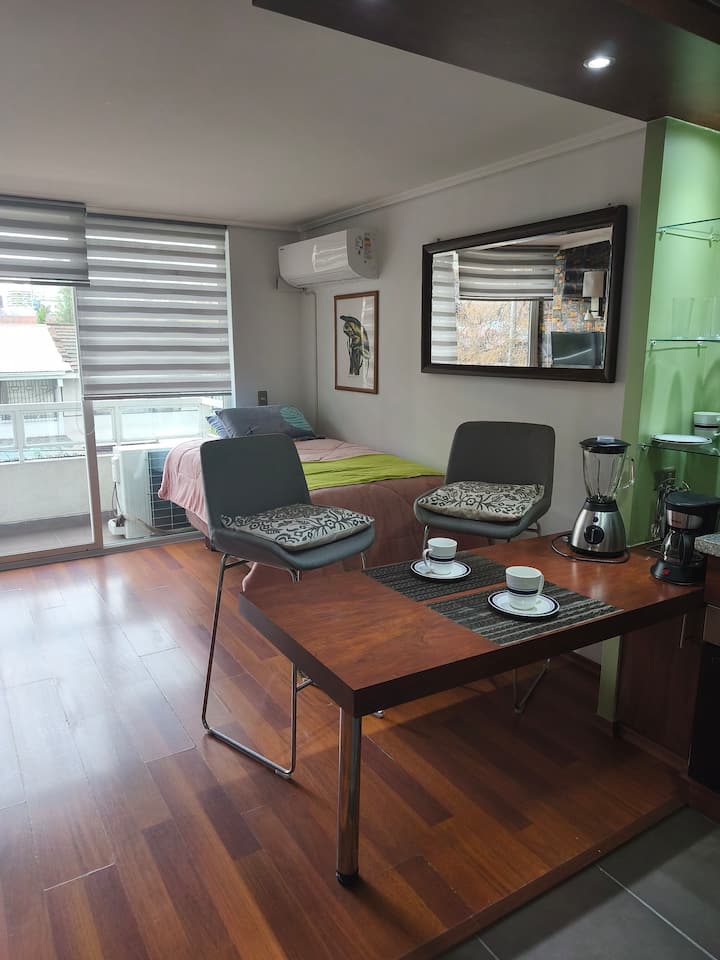 Moderno Y Cómodo Departamento - Santiago (Chile)