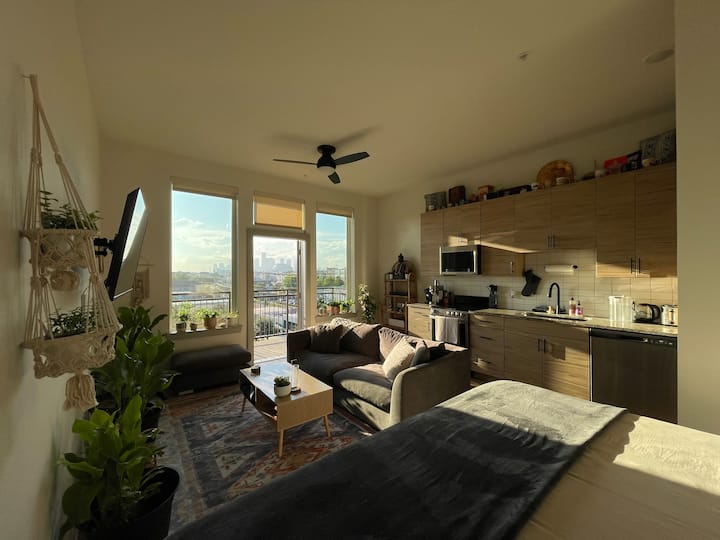 Cozy Plant Studio-downtown View, Comfy Bed, Pool - Houston, TX