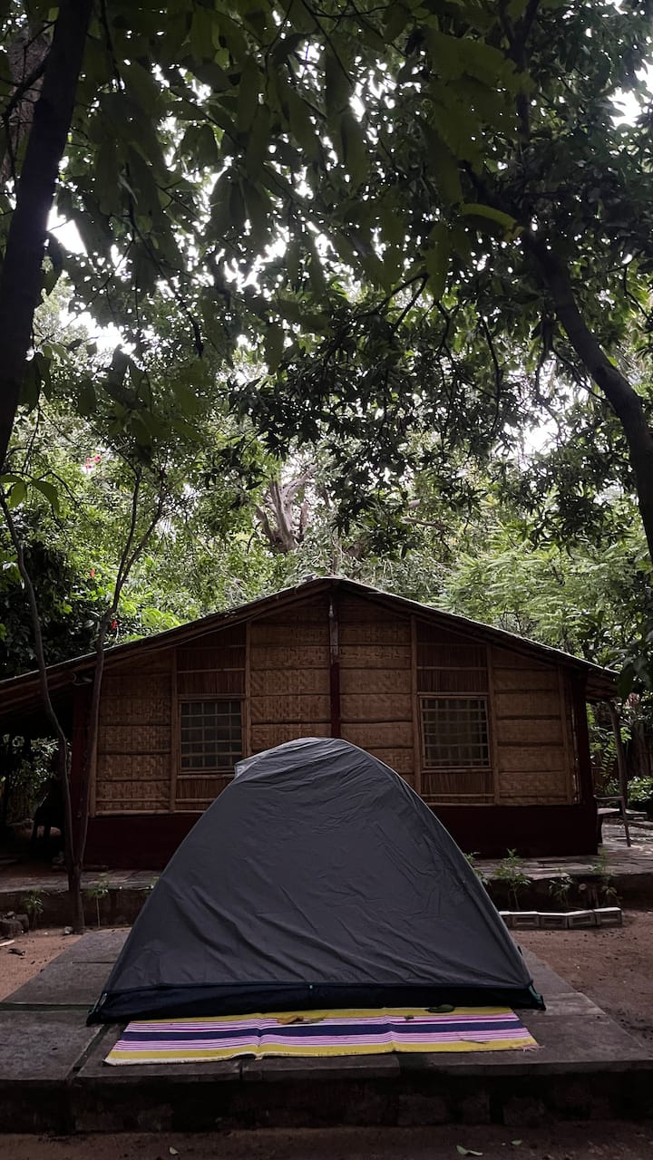Tent 2 - Hampi