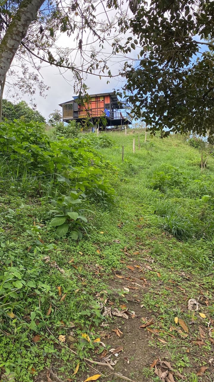Cabaña Alegría: Colores, Vista Y Jacuzzi - San Francisco