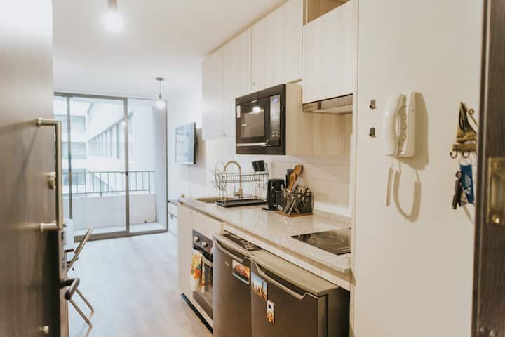 Nuevo Apart Boutique Santiago 1h-1b 3 Pax Metro - Chili