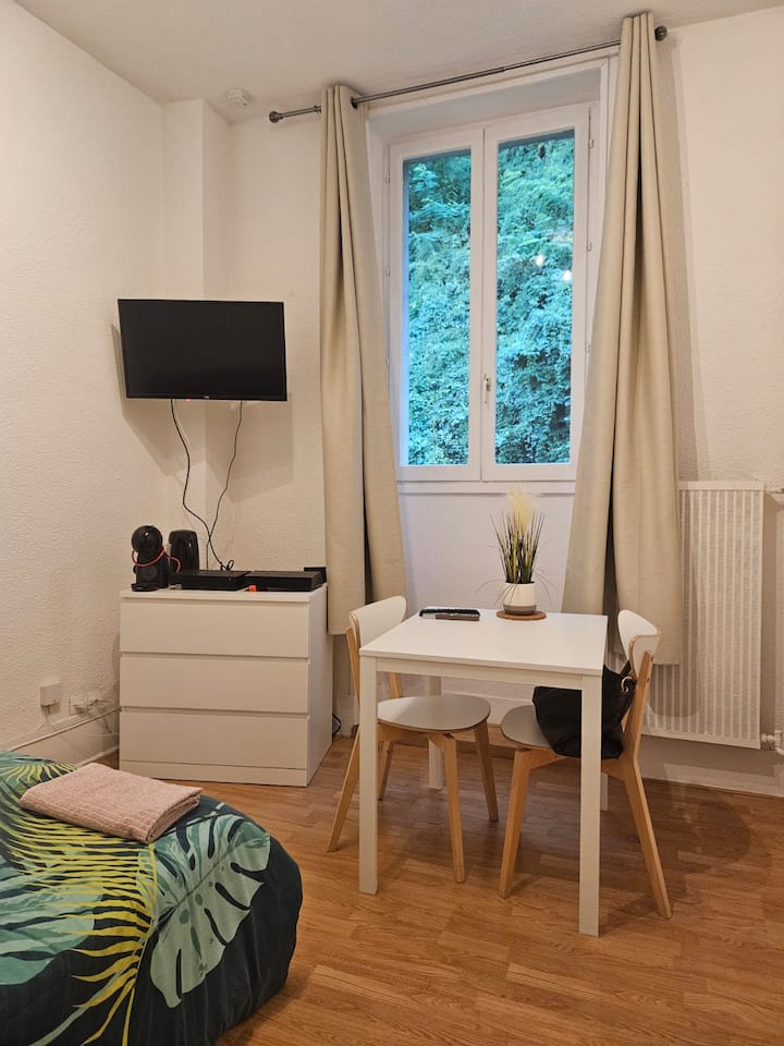 Le Cosy - Lac Fourchu