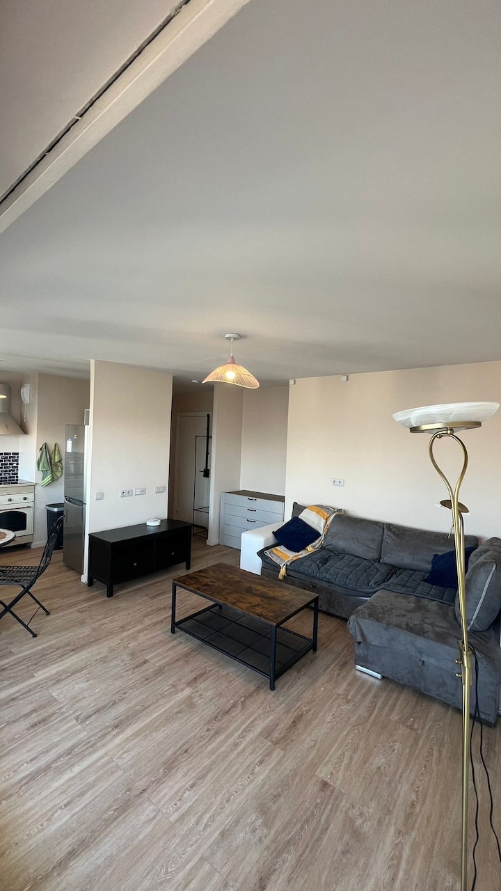 Cosy & Lumineux • 2 Balcons • Paris Expo - Meudon