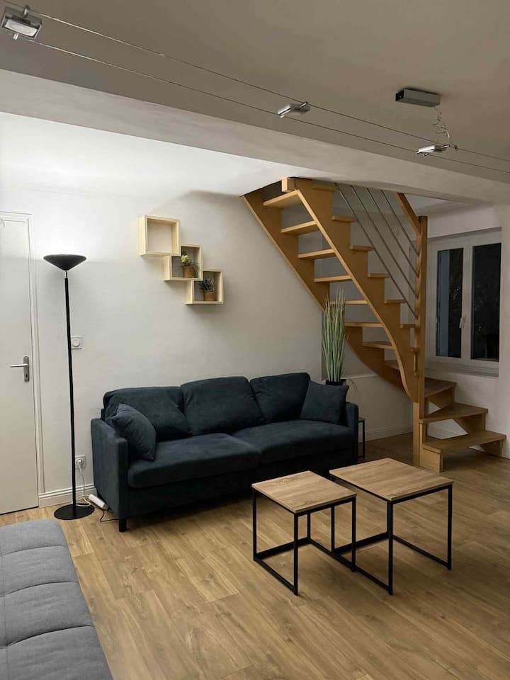 ÉLégant Duplex D'angers -5 Chambres Clim & Centre - Angers