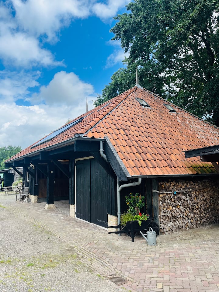 Appartement "Op'e Skuorre" - Leeuwarden