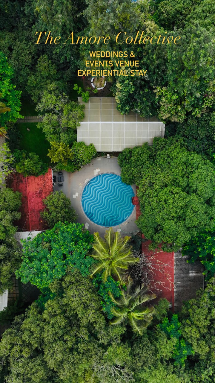 The Amore Collective - Bengaluru