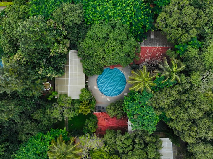 The Amore Collective - Bangalore