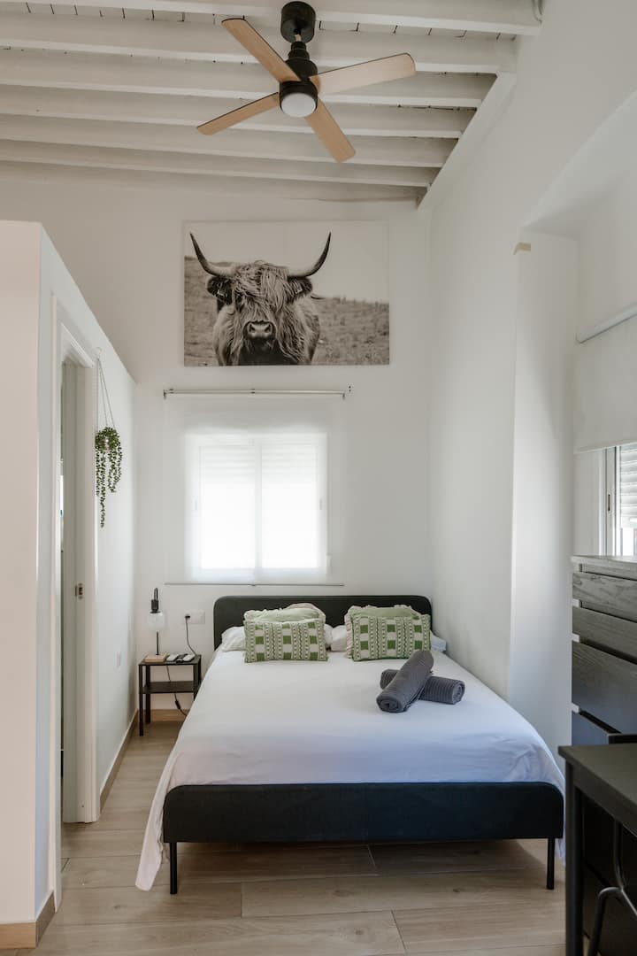 Estudio Central En Almería - Almería