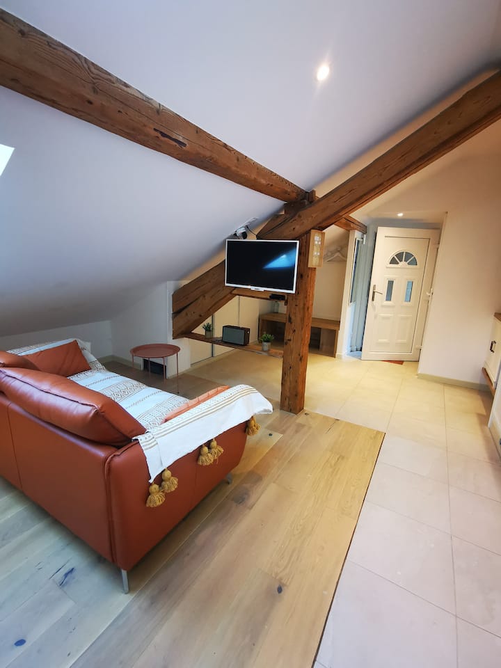 La Grange De Thuyset Calme Et Confort - Thonon-les-Bains