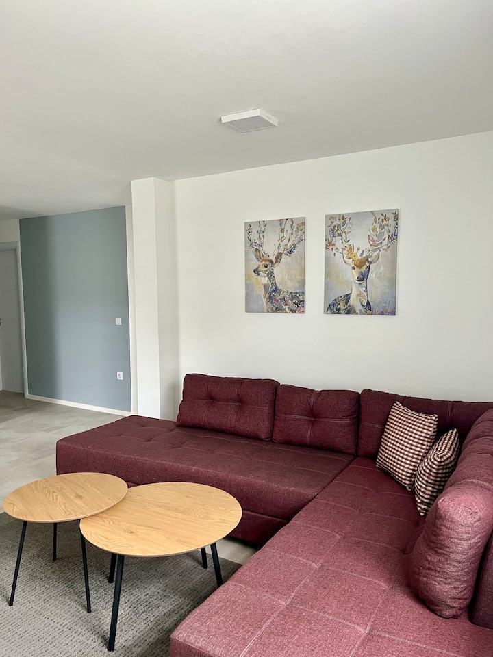 Two-bedroom Apartment + Terrace - Kranj