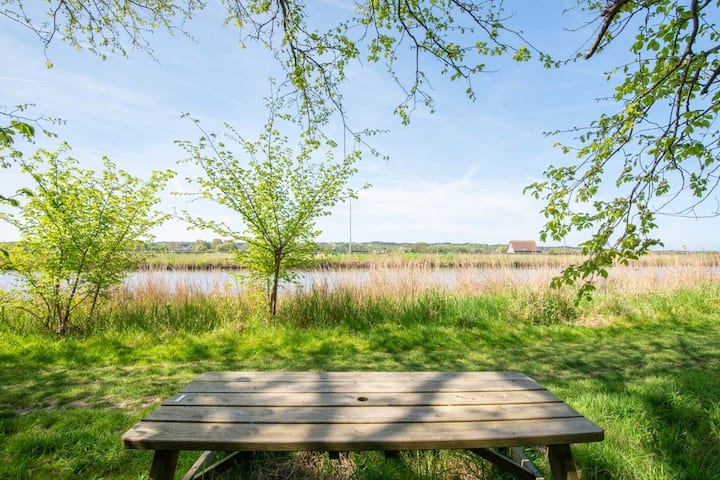 Duynhof.
Nabij Strand, Bos, Duinen En Stad. - Bergen