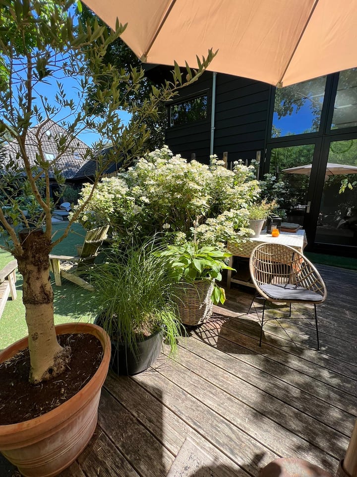 Vakantiehuis Kastanje - Bergen