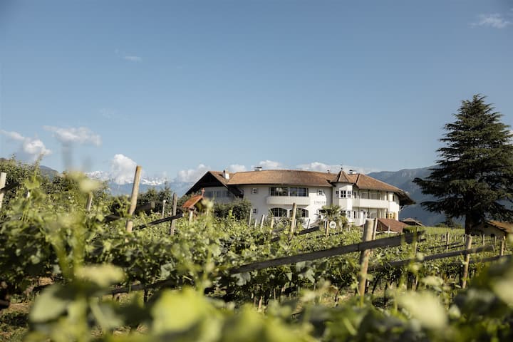 Lingers Suites & Residence - 