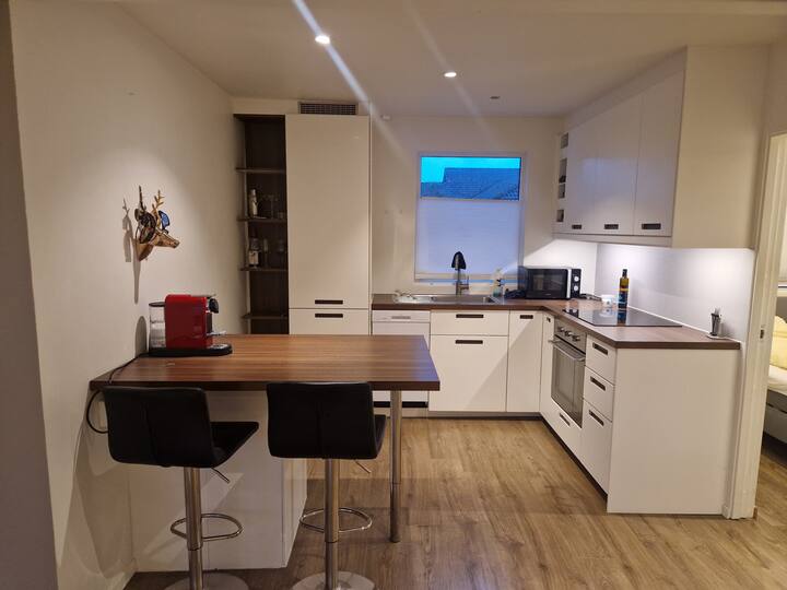 Central Modern Apartement - 斯塔萬格