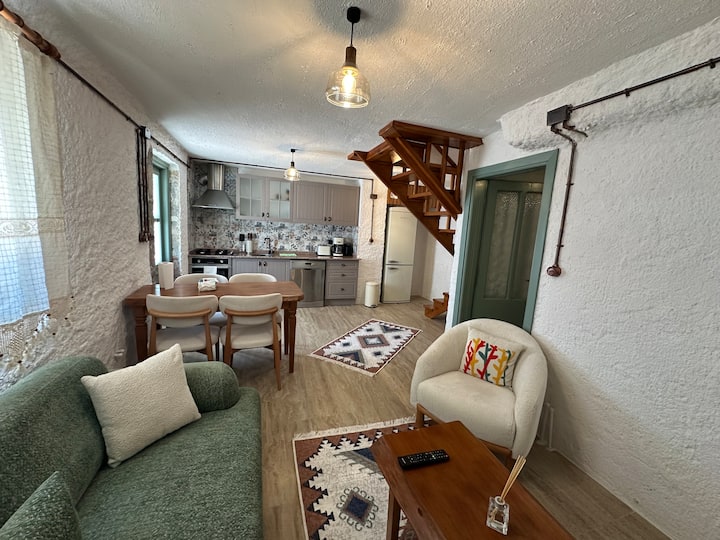 Müstakil,dubleks,taş Ev.(2+1) - Barbaros