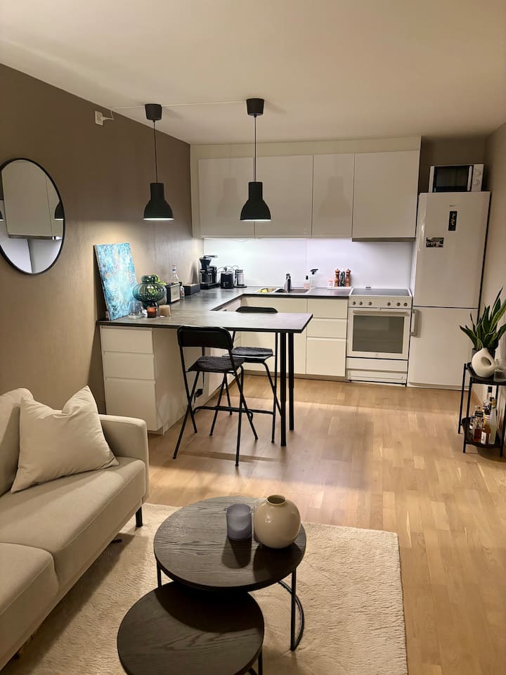 Lys Og Koselig Leilighet - Stavanger
