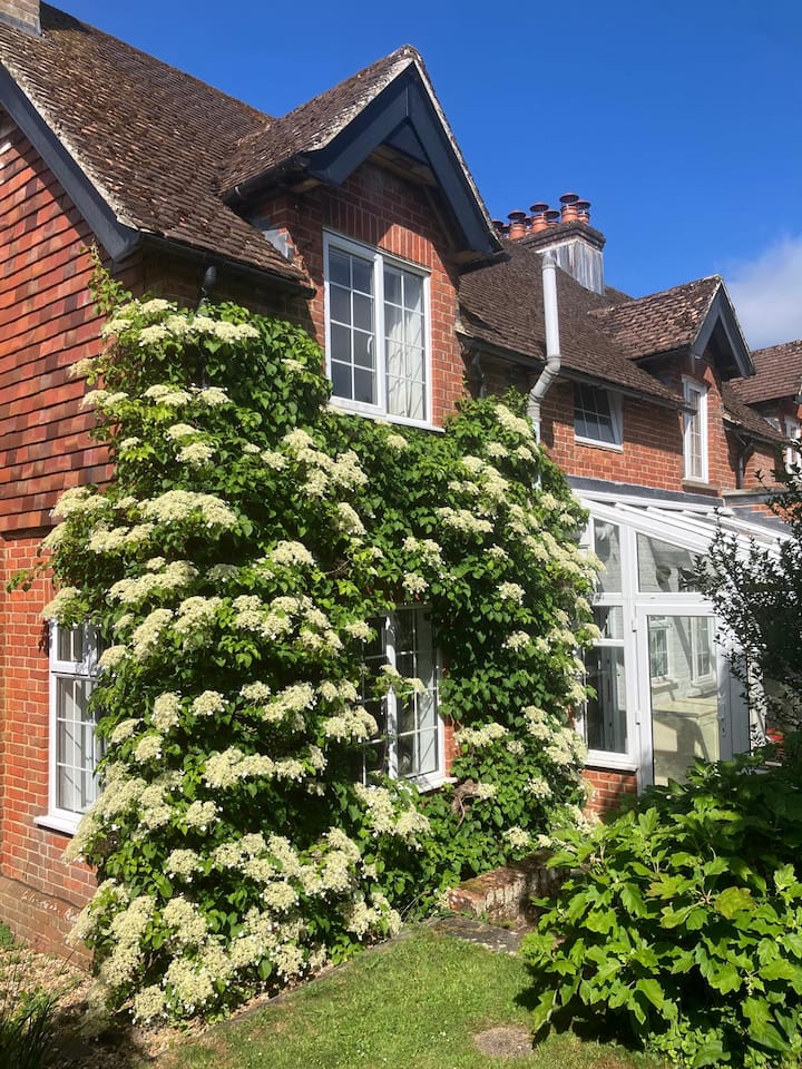 Pretty Cottage In Selborne - Alton, UK