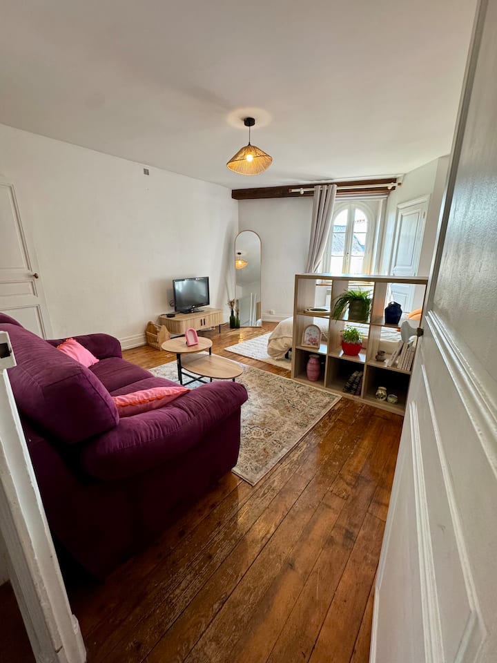 Nid Douillet Face Aux Halles - Dijon