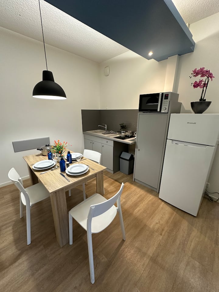 Logement Meublé De 2 à 3 Pers. - Saint-Julien-en-Genevois