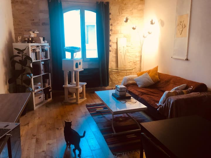 Au Cœur Du Centre Historique - Montpellier