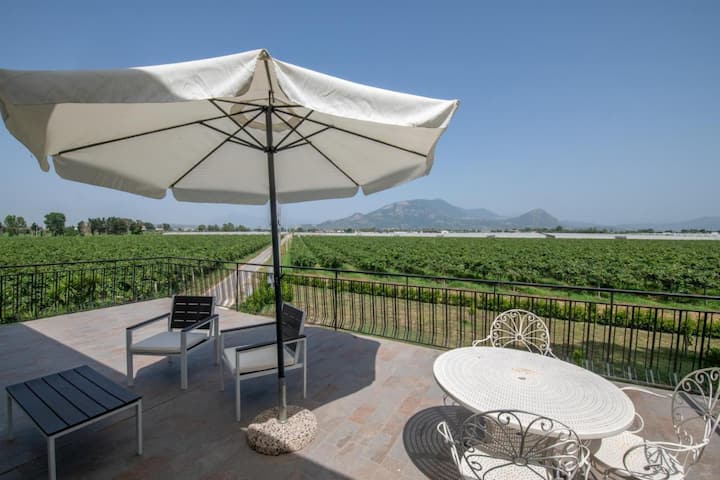 Apt 4 Pax W/pool, A/c, Parking, Terrace, 2bdr, 1ba - Paestum, Salerne, Italy