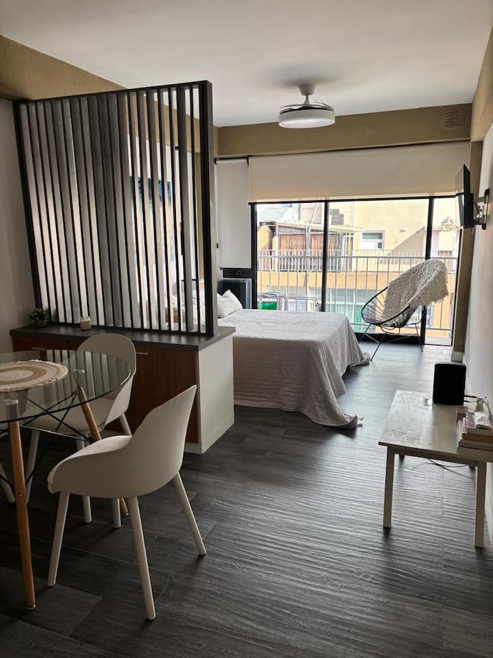 Mono Arenales - Mar del Plata