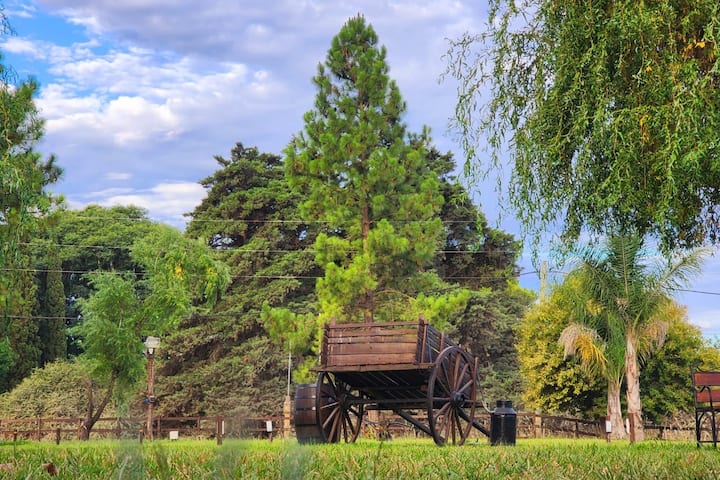 Cabaña Natural, Parrilla Privada, Piscina | Colón - San José, Argentina