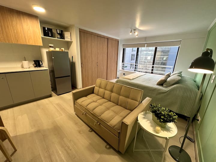 Estúdio Moderno Em Providencia - Providencia