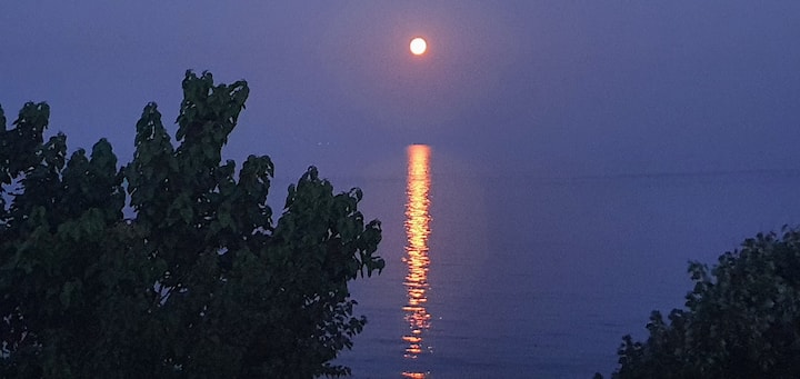 Denize Sıfır Ev - Kumbağ