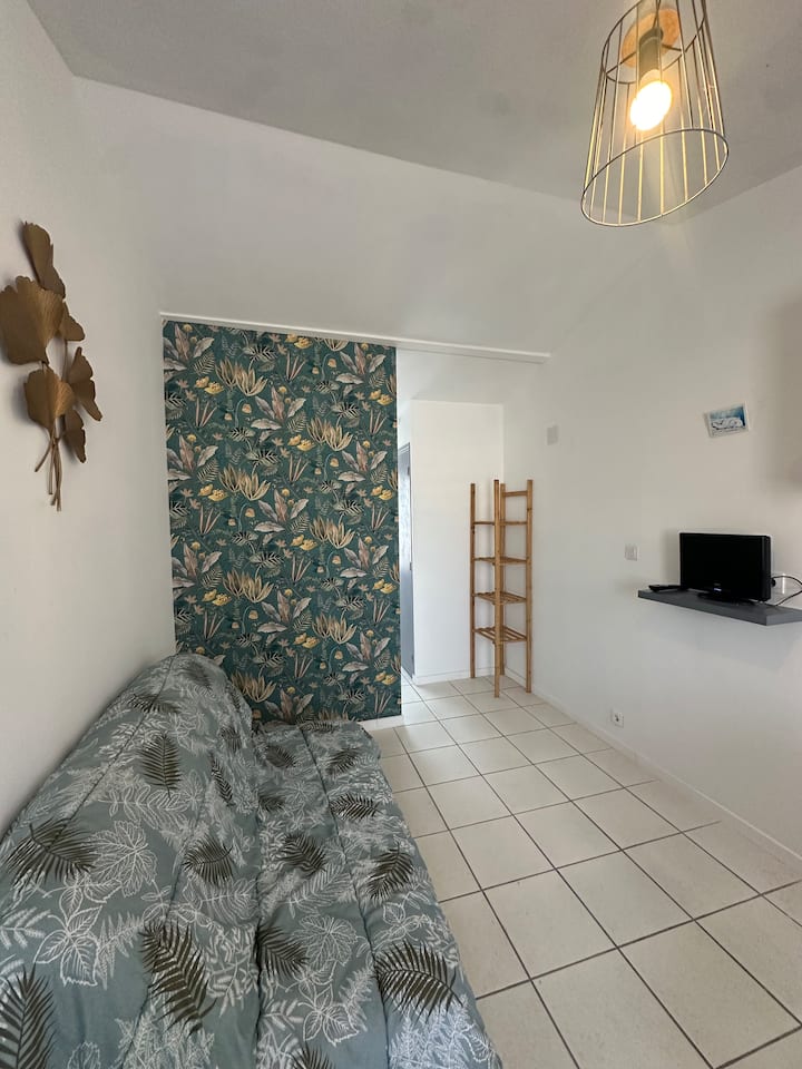 Studio Face Au Lac Proche Mer - Sigean