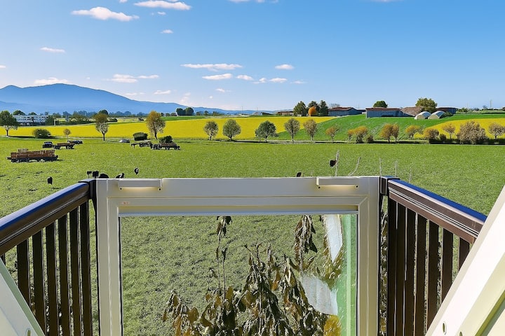 Green Apartment - Fribourg-en-Brisgau