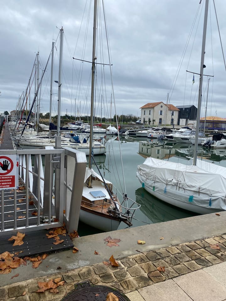 4 Personne Clim Terrasse Au Calme Océan à 5 Mn - Ronce-les-Bains