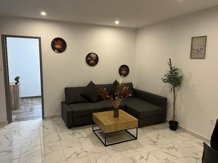 Cocon Design Appartement Refait - Béziers