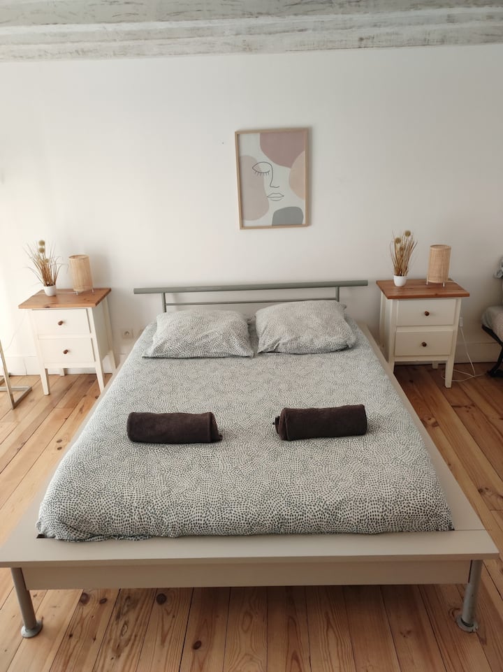 Lumineux Duplex Centre-ville - Allonnes