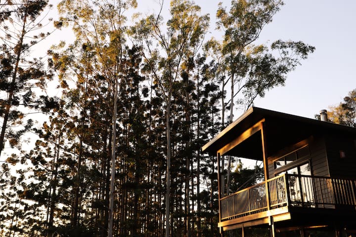 Rainforest Chalet With Bay Views - Brisbane