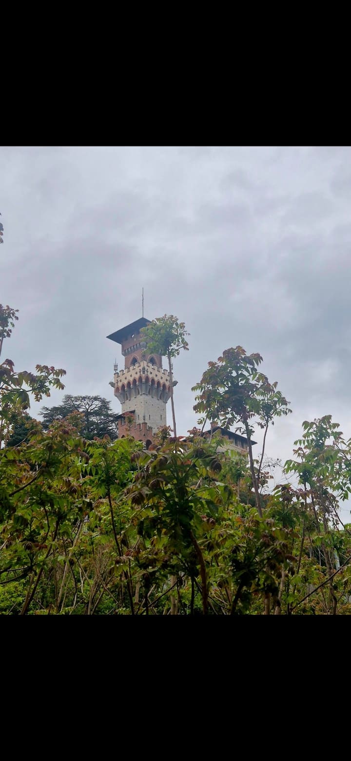 Paradise Jungle - Lugano