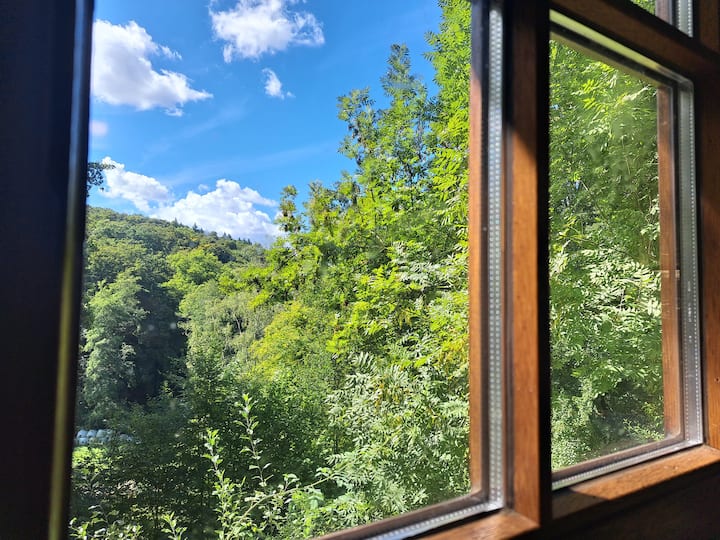 Tiny Haus Im Grünen, Umgeben Von Wald Und Wiesen. - Neuenstein