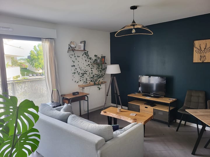 Appartement T2 Calme Et Lumineux - Bajonna