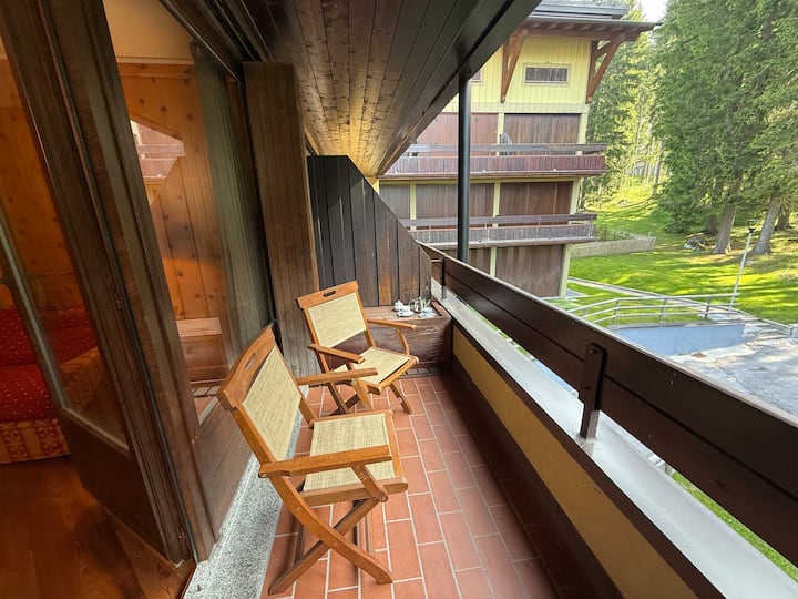 A Due Passi Dagli Impianti - Pinzolo