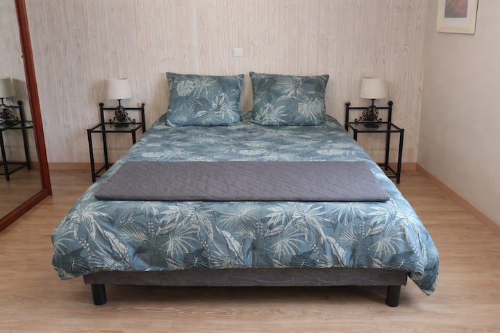 À 100m Du Parc Et Des Thermes - Vittel