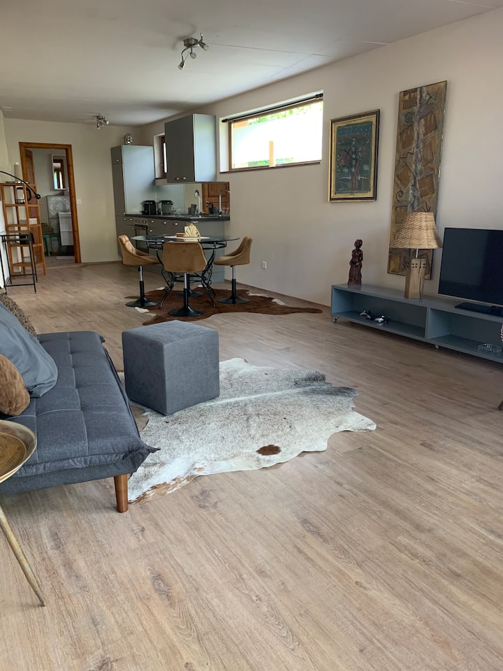 Ferienwohnung Direkt Am Rhein - Escafusa