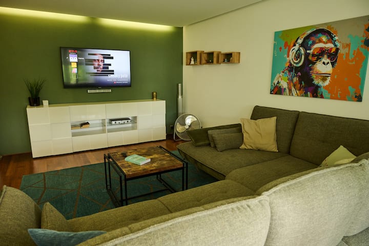 Gemütliche Ferienwohnung - Dornbirn
