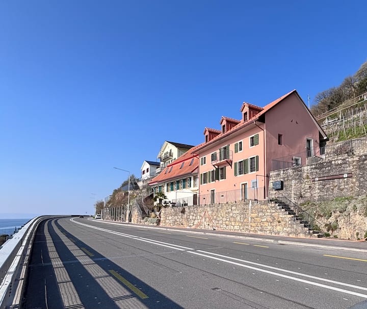 Lakeview Appartement Bei Weinbergen Am Bielersee - Biel
