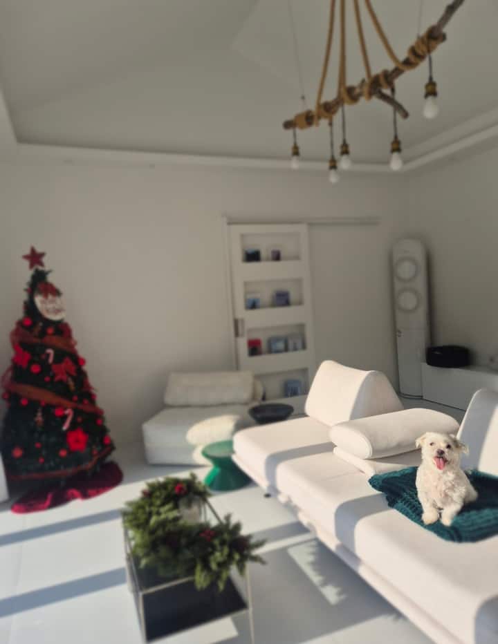 크리스마스 단독 독채 풀빌라 애견동반 바베큐 수영장 - Yangyang-gun