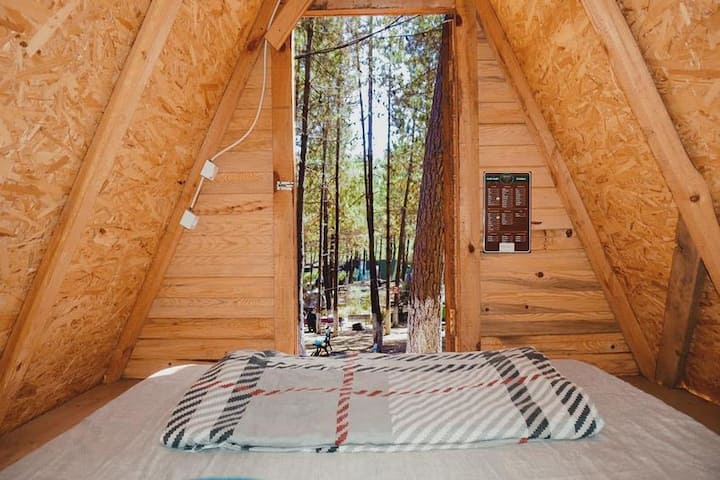 Orman Koza - Kocaeli