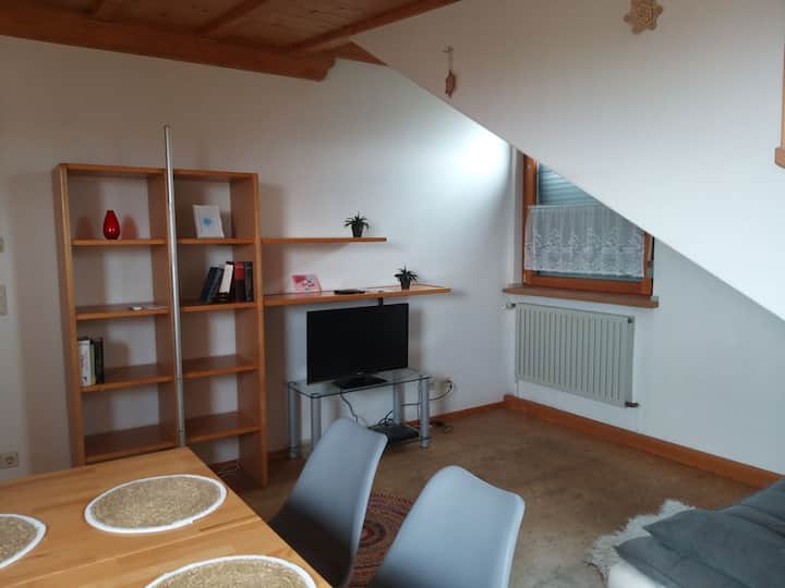 Dg Wohnung Mit Schwarzwald Blick - Schramberg