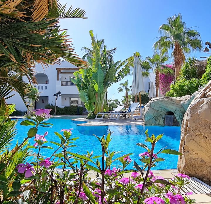 1 Bedroom By The Pool Delta Sharm - Sharm El-Sheikh