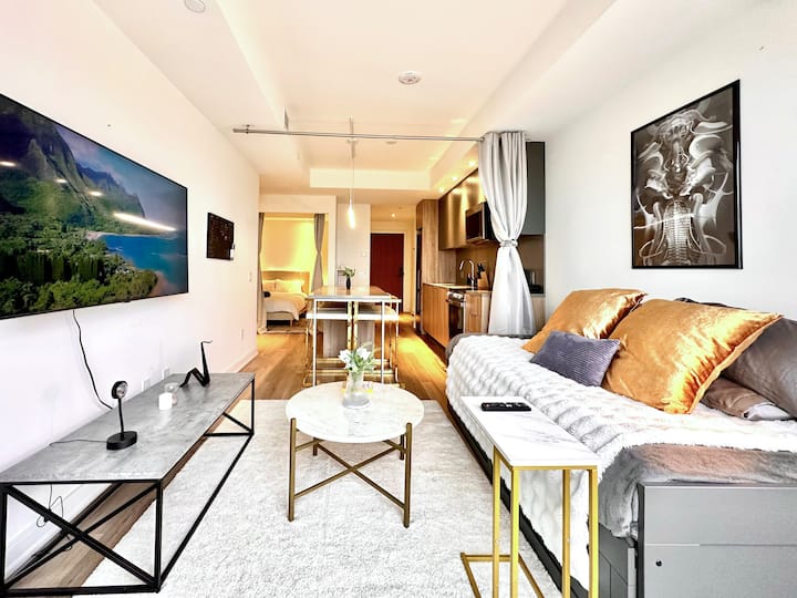 Lake View Luxury Condo Downtown Toronto - Toronto