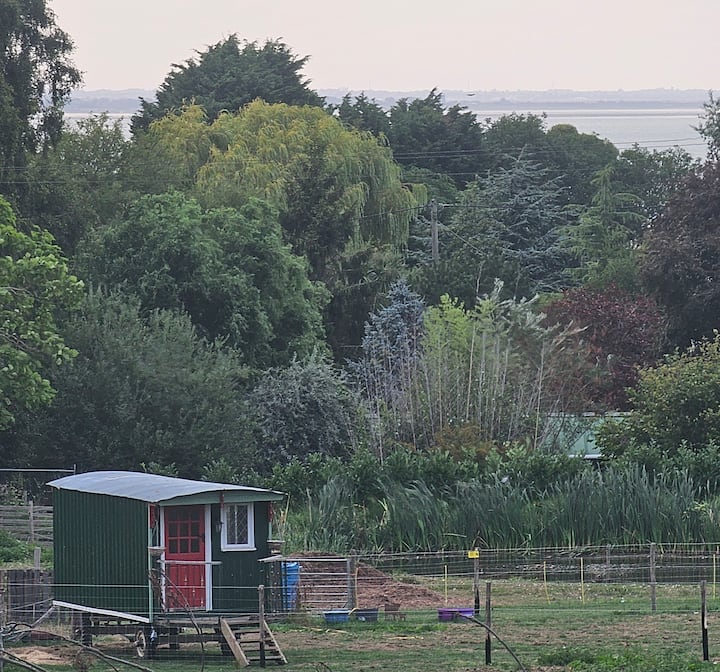 Poppy Place At Seacliffe Staycation - Isle of Sheppey