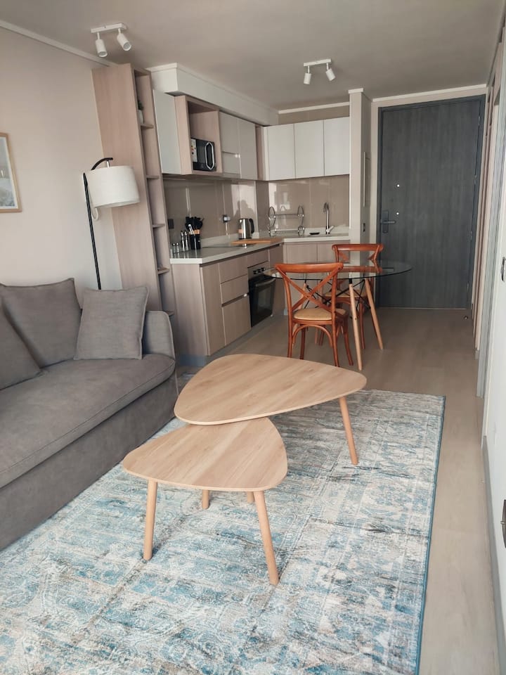 Increíble 1d1b En Santiago - Santiago, Chile